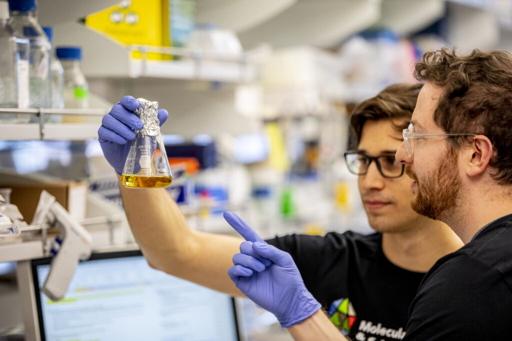 Research - UW MEM·C