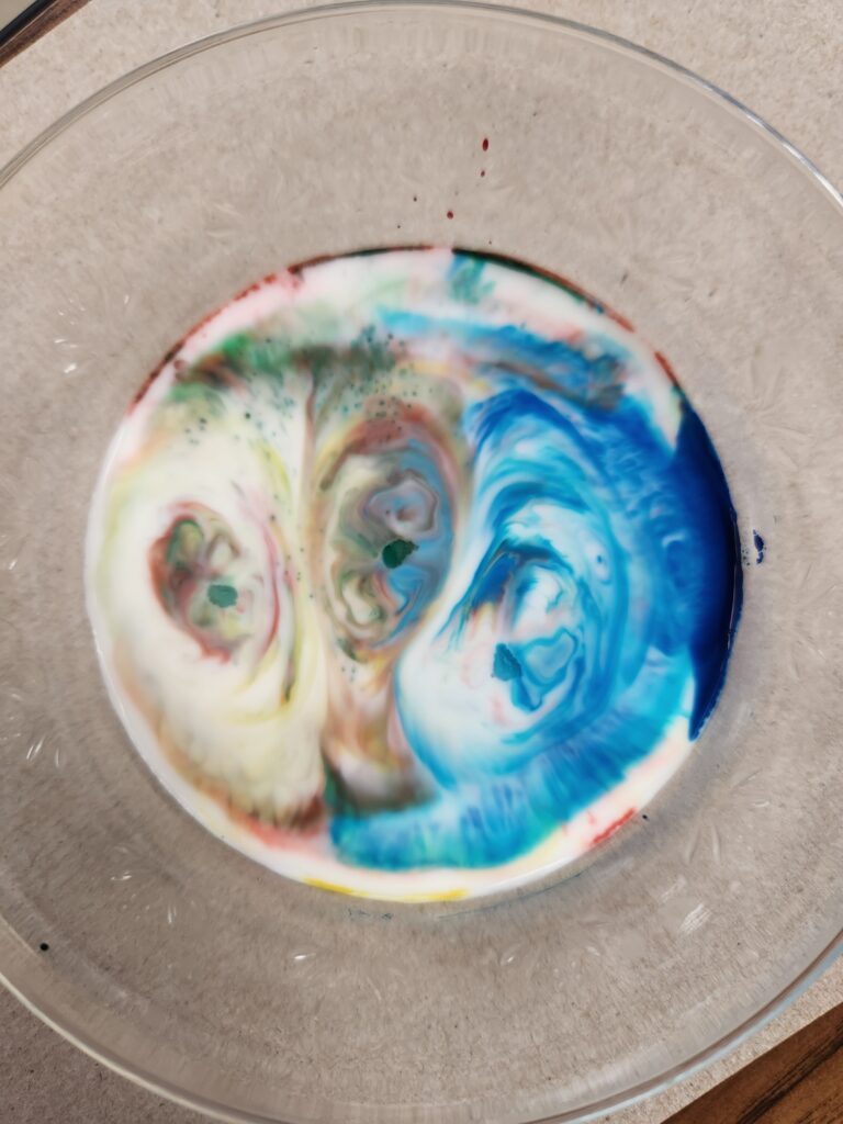 MEM-C Brings Marbled Milk to Echo Lake Elementary - UW MEM·C